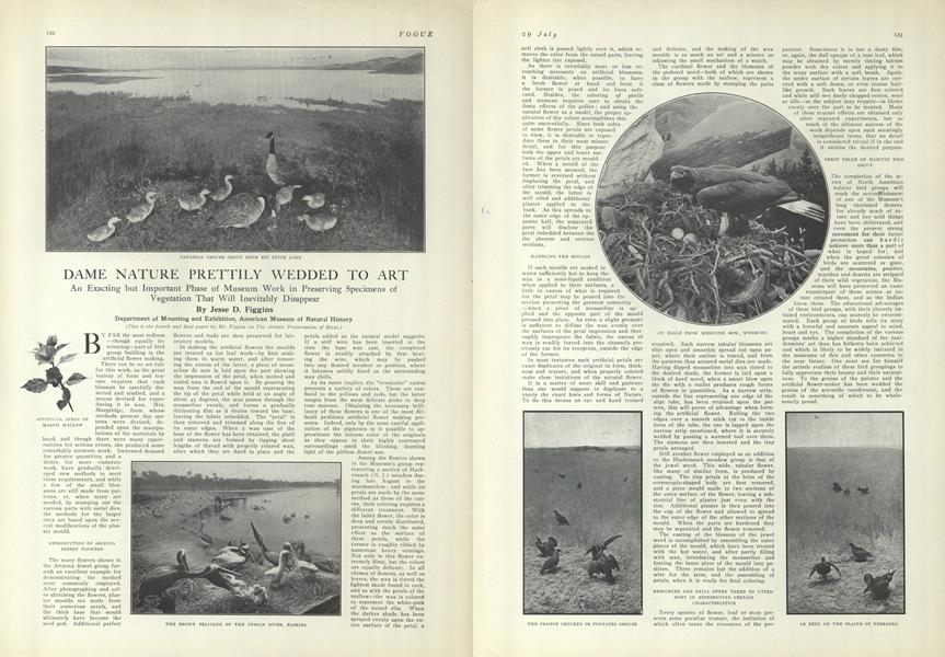 Dame Nature Prettily Wedded to Art | Vogue | JULY 29, 1909