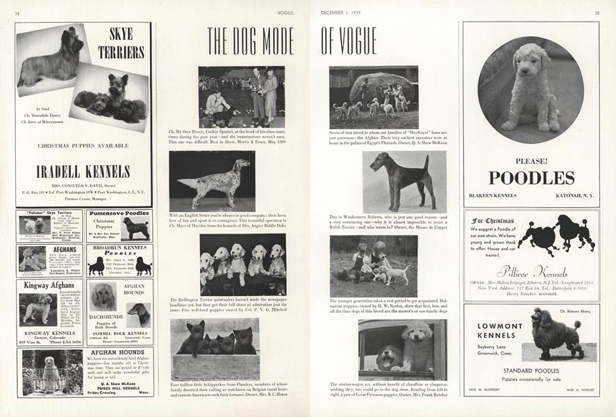 The Dog Mode of Vogue | Vogue | DECEMBER 1, 1939