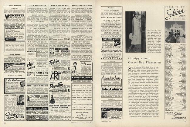 Mother and Daughter: Mrs. Loel Guinness and Mrs. Patrick Guinness ...