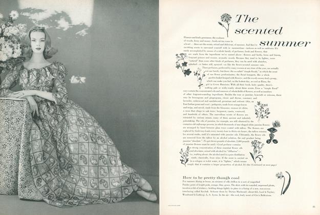 Cover Look | Vogue | JULY, 1959