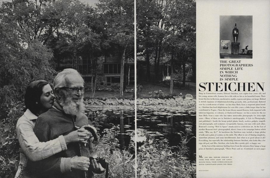 Steichen | Vogue | NOVEMBER 15, 1963