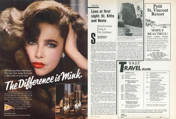 Choices for a Modern Woman: Hannah Pakula | Vogue | JANUARY 1982