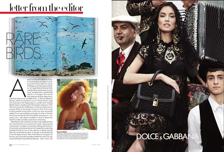 Rare Birds | Vogue | November 2012