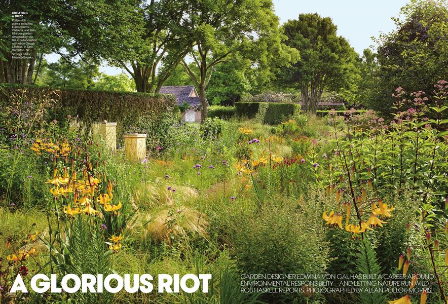 A Glorious Riot | Vogue | December 2014